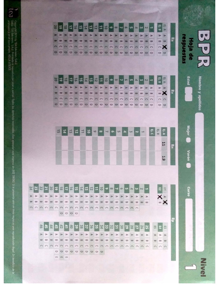 Hoja de Registro BPR | PDF