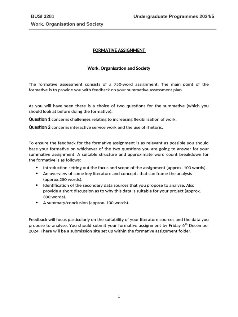 BUSI 3281 Formative Assignment Guide | PDF