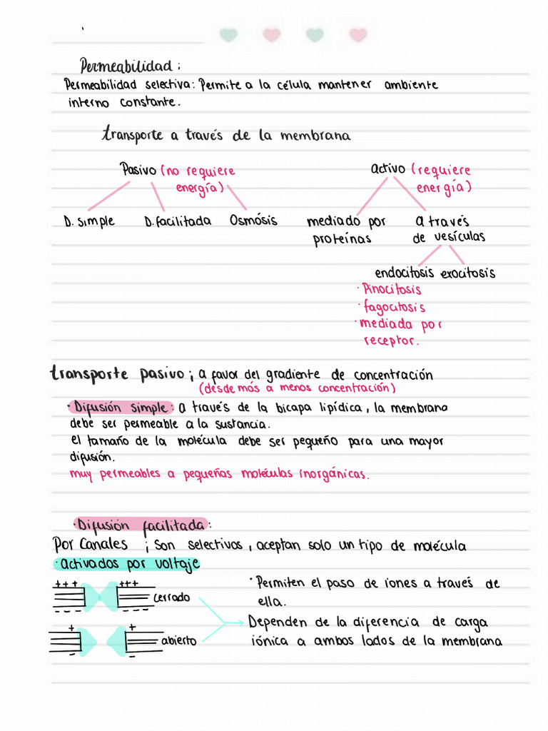 Apunte Mio Solemne 2 Biocel | PDF