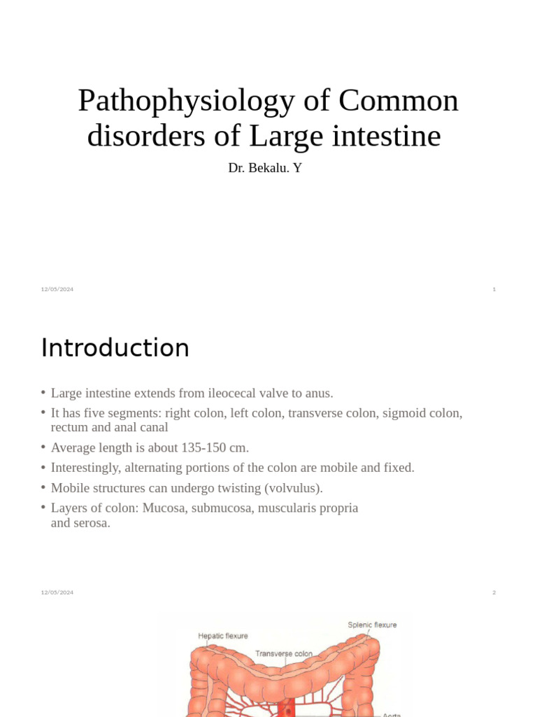 Pathophysiology of Common Disorders of Large Intestine | PDF ...