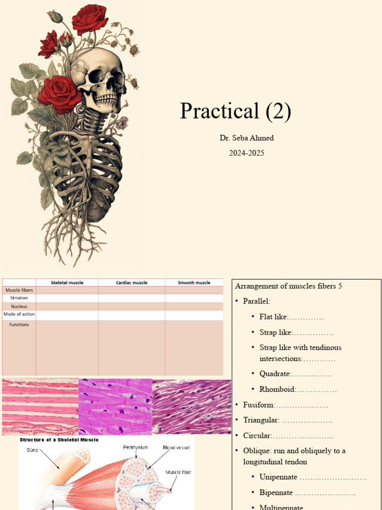 Practical 2 | PDF
