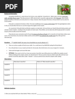 Worksheet Testing A Leaf For Starch | PDF