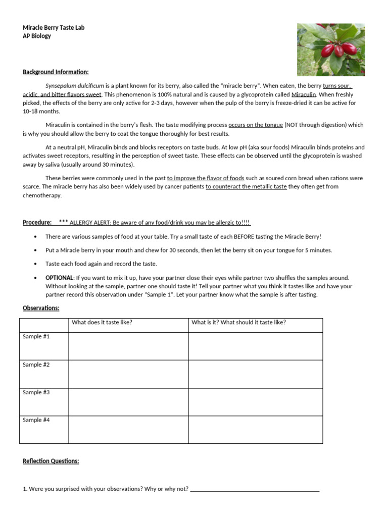 4.4 Miracle Berry Taste Lab | PDF | Taste