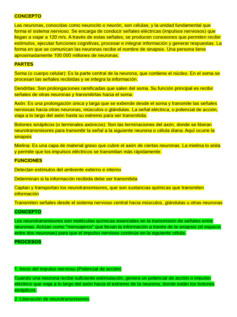 Expo CyT Completa | PDF | Sinapsis | Neurona