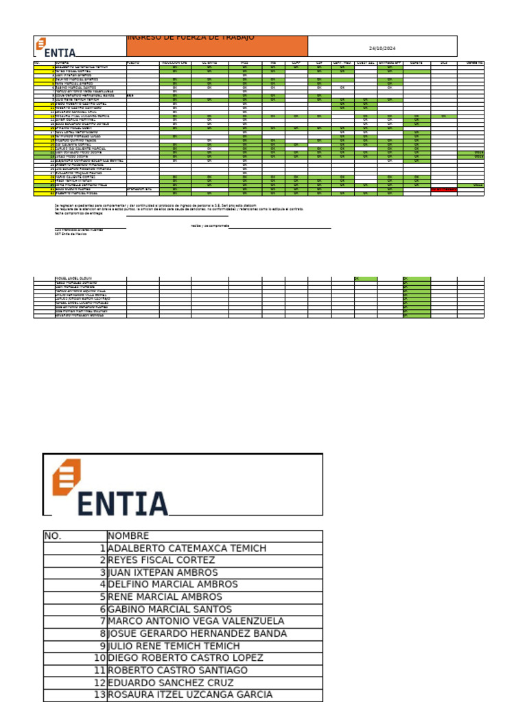 Altas de Personal 241024 | PDF