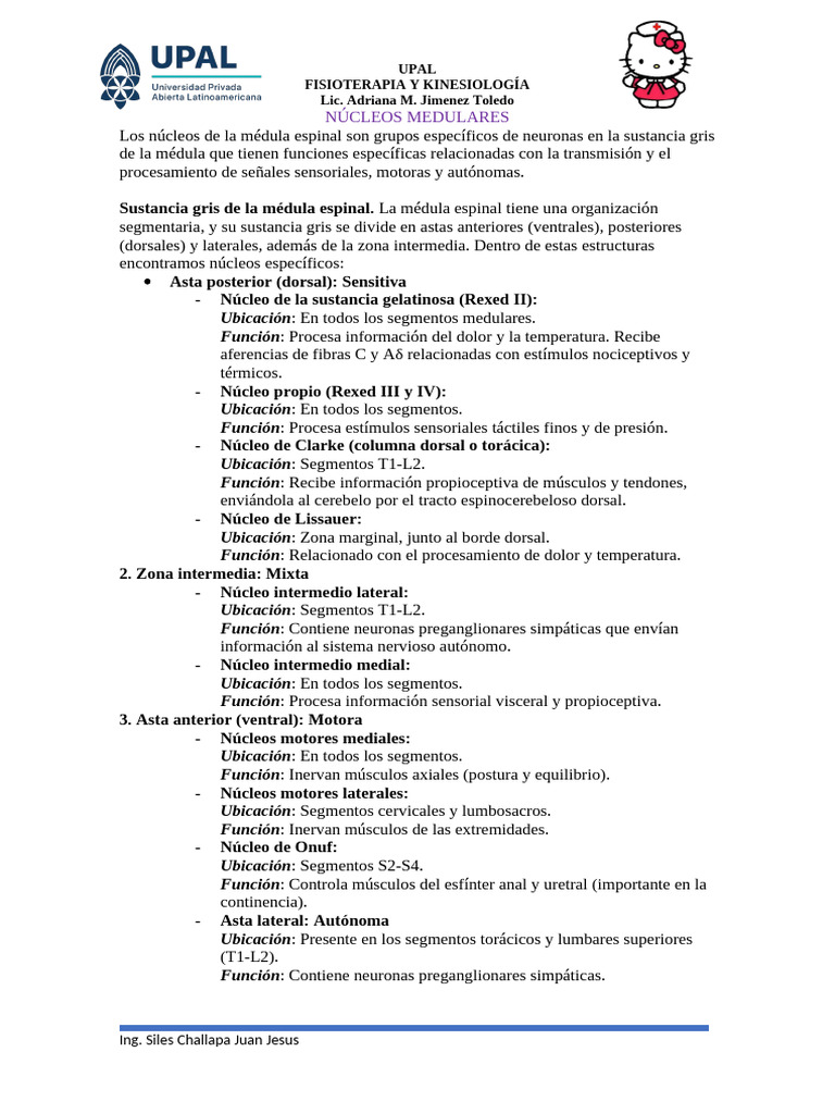 SUDECK | PDF | Médula espinal | Materia gris