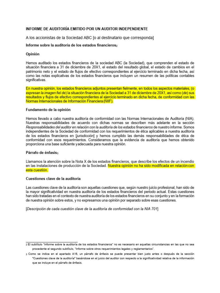 INFORME DE AUDITORIA EMITIDO POR UN AUDITOR INDEPENDIENTE | PDF | Auditoría | Contralor