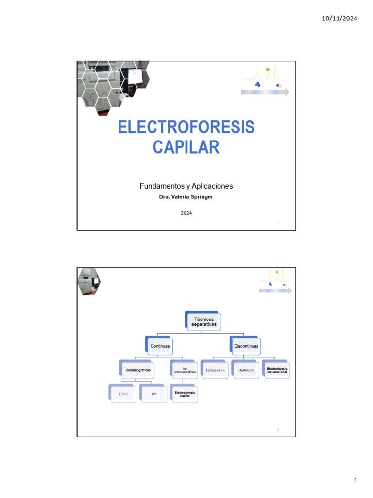 Presentación Clase CE 2024 | PDF | Electroforesis | Electroforesis capilar
