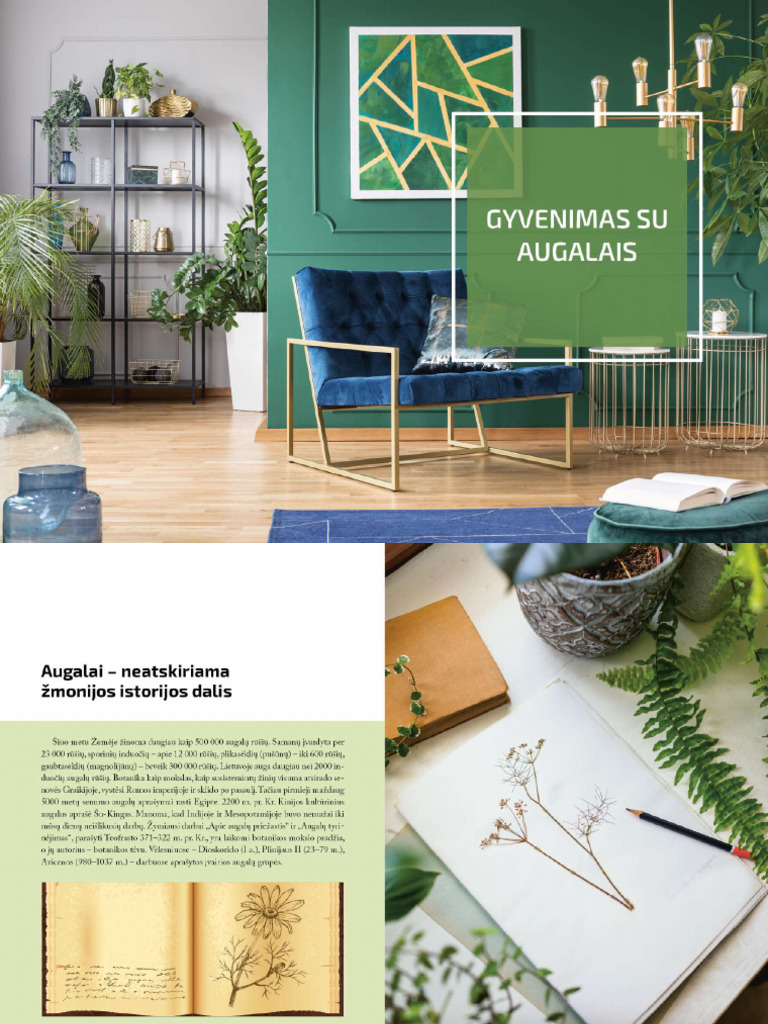 Mano Zalioji Oaze | PDF