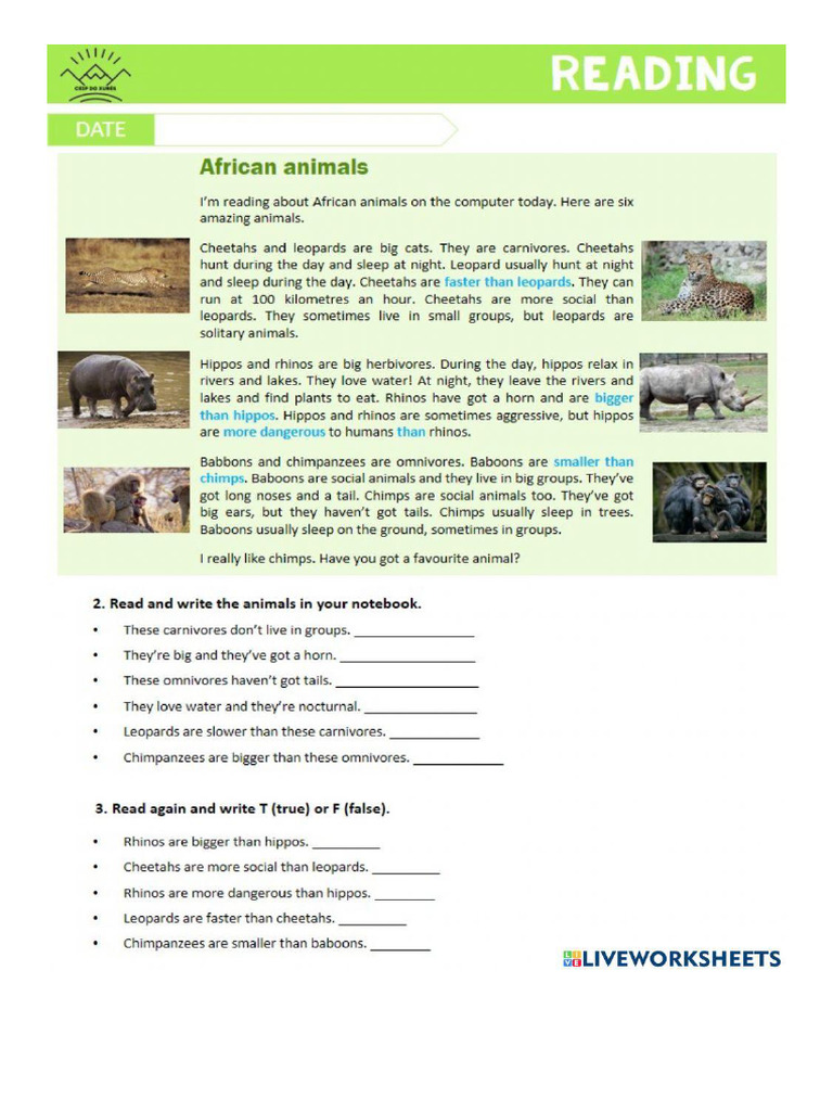 Worksheet 2095263 | PDF