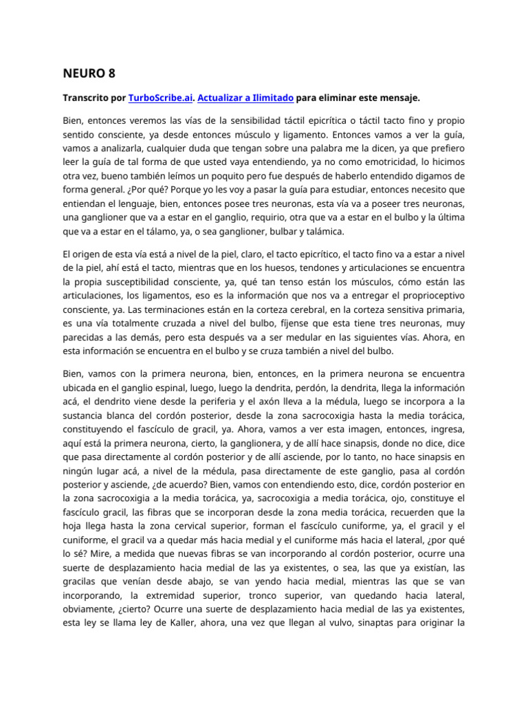 Neuro 8 | PDF | Médula espinal | Neurona