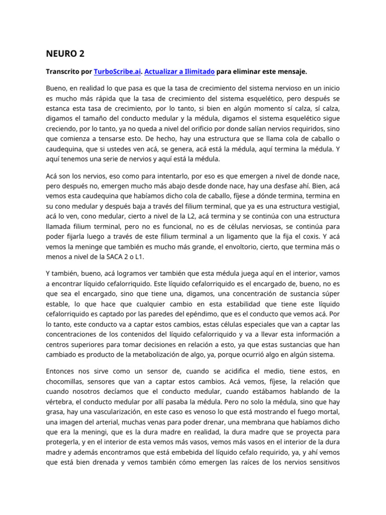Neuro 2 | PDF | Médula espinal | Nervio