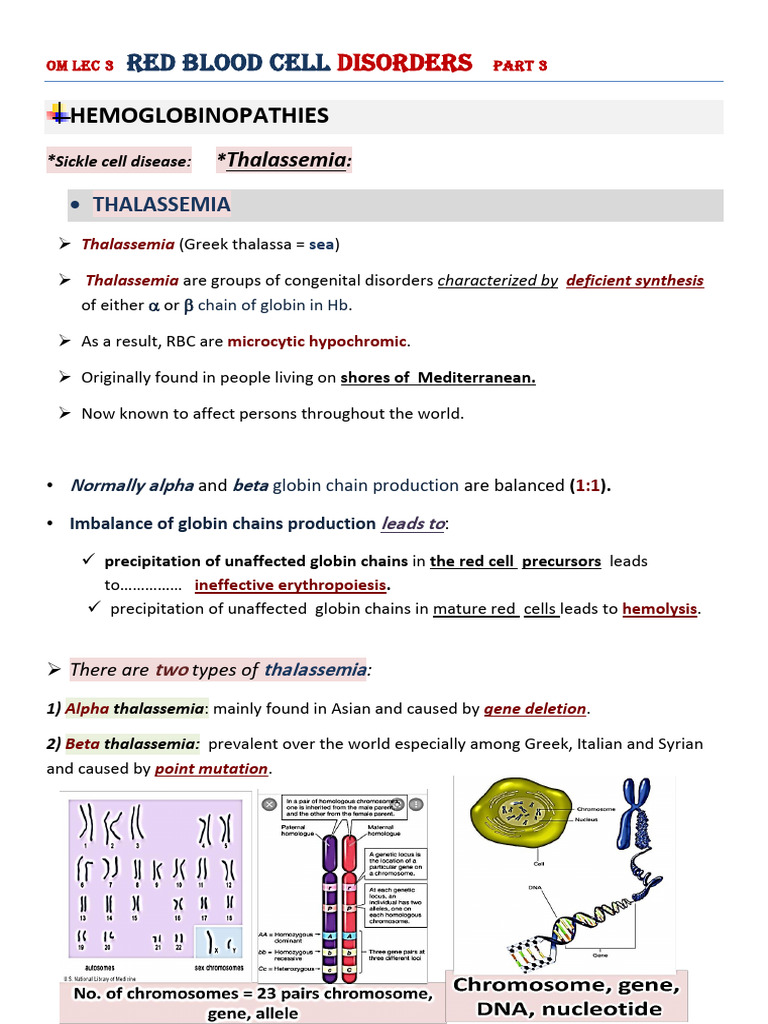 Om Lec 3 Red Blood Cell Disorders Part 3 | PDF | Anemia | Hematology