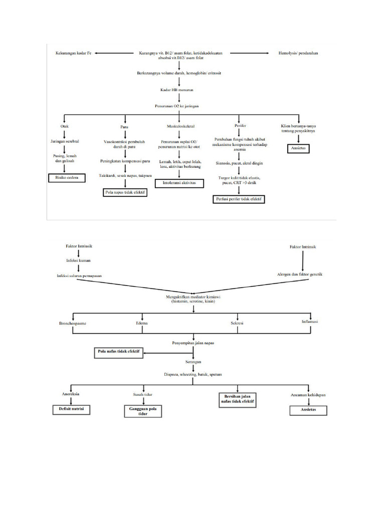 Pathway Anemia Dan Asma | PDF