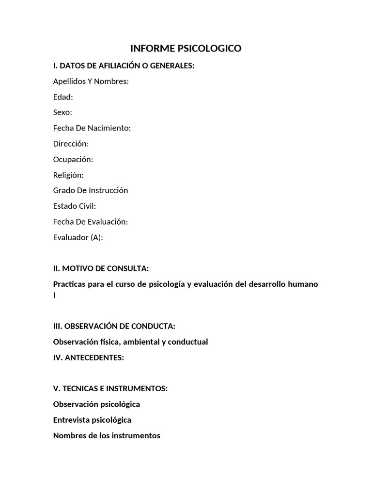 Estructura de Informe | PDF