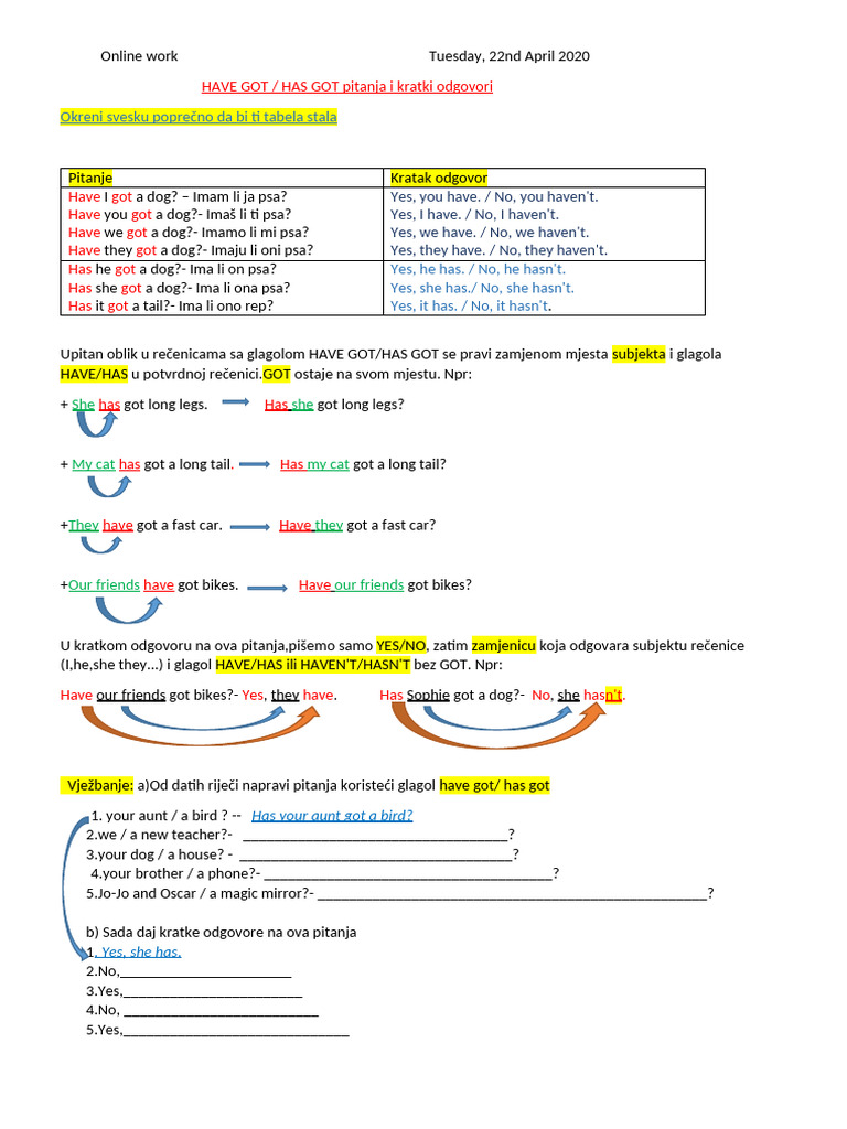 Have Got/Has Got Questions Guide | PDF