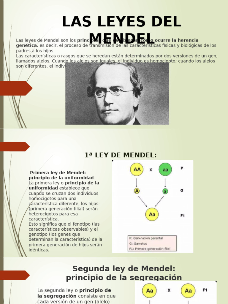 ley del mendel | PDF