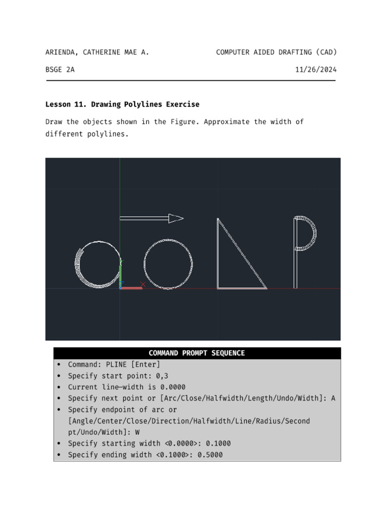 Drawing Polylines Exercise | PDF