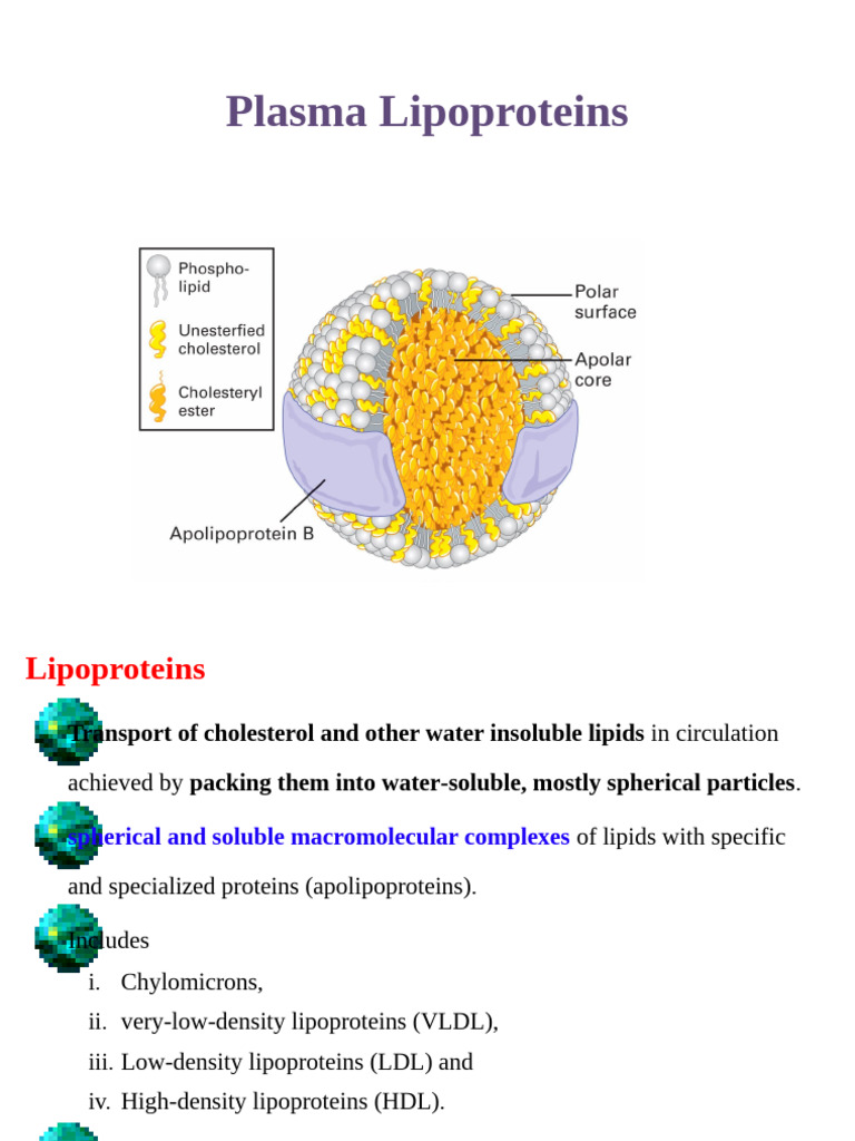 Plasma Lipoprotein | PDF | Lipoprotein | High Density Lipoprotein