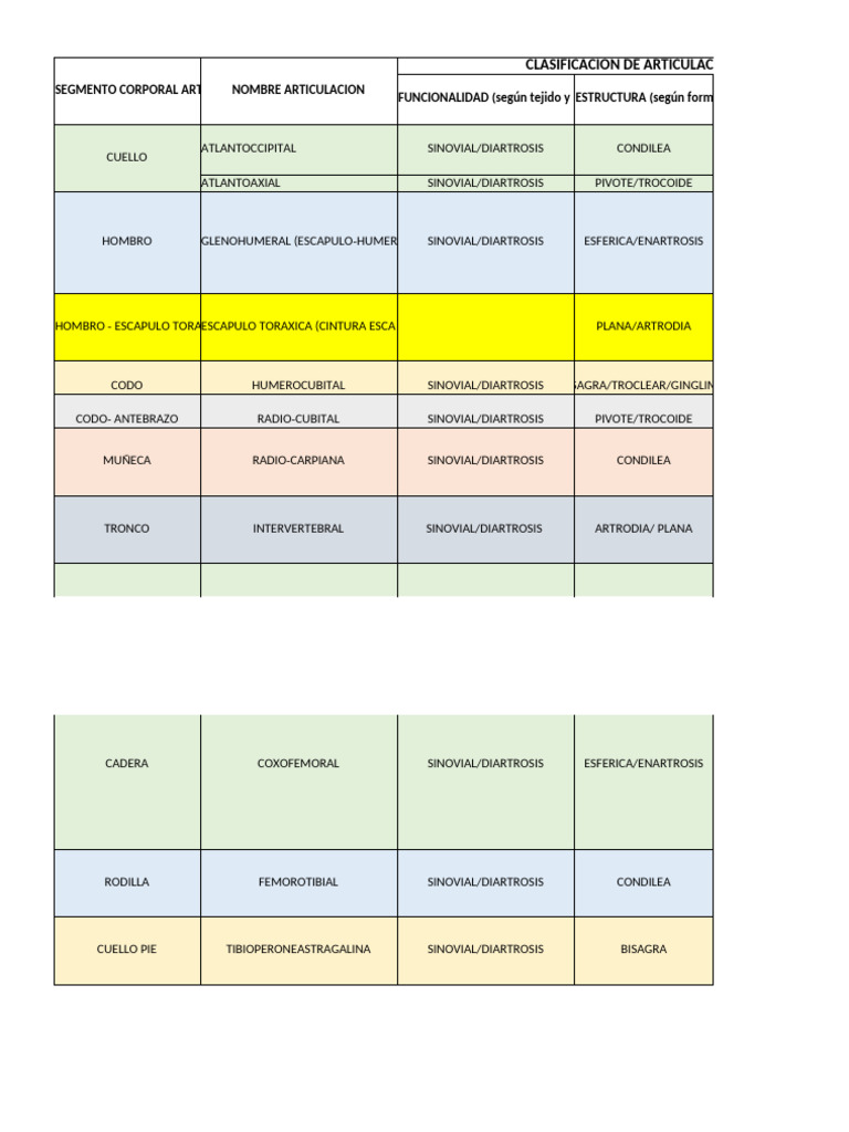 Cuadro Articulaciones | PDF | Articulación | Hombro