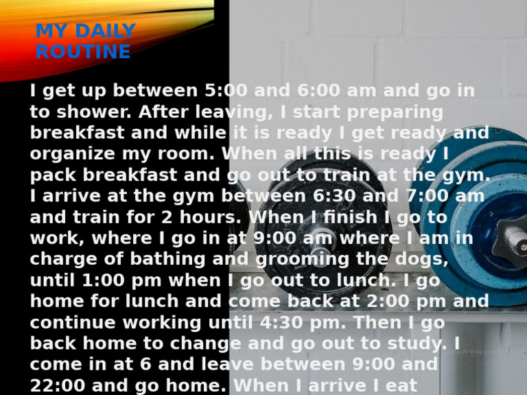 My Daily Routine: Morning to Night | PDF
