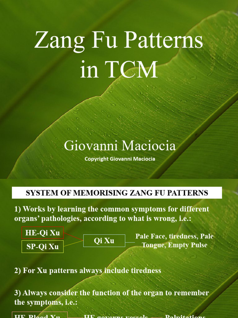 Zang Fu Patterns in Chinese Medicine y8vcd6 | PDF | Traditional Chinese ...