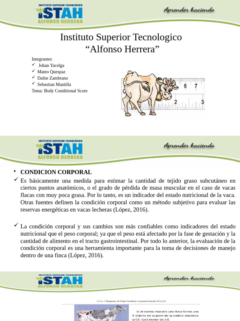 Condicion Corporal | PDF