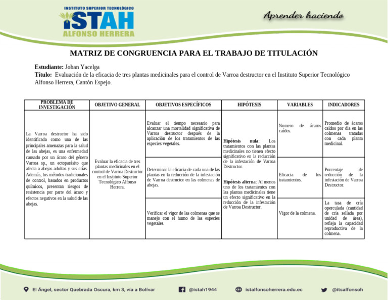 Matriz de Congruencia 17. | PDF