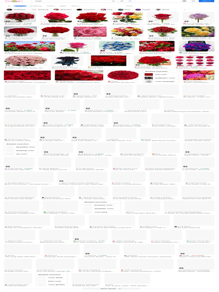 roses - Google Search | PDF | Floristry | Rose
