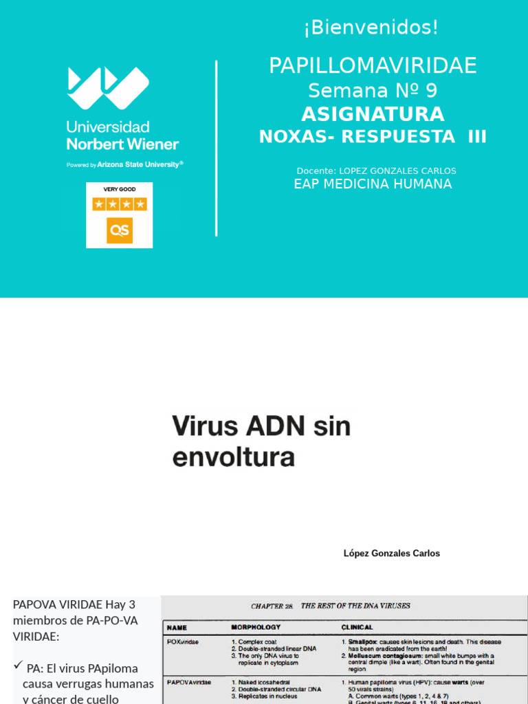 papiloma viridae COPIA 24052024 | PDF | Cáncer de cuello uterino | Virus