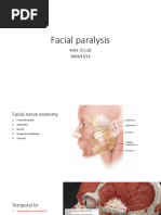 Lateral View of Facial Muscles | PDF | Soft Tissue | Human Anatomy