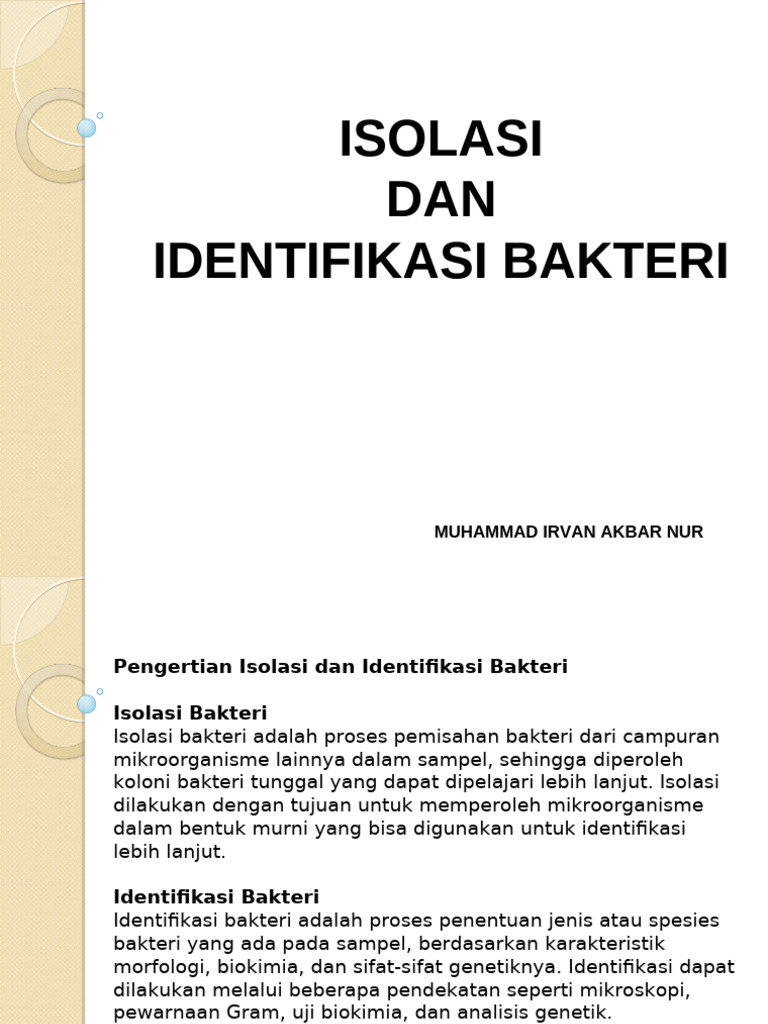Isolasi Dan Identifikasi Bakteri | PDF