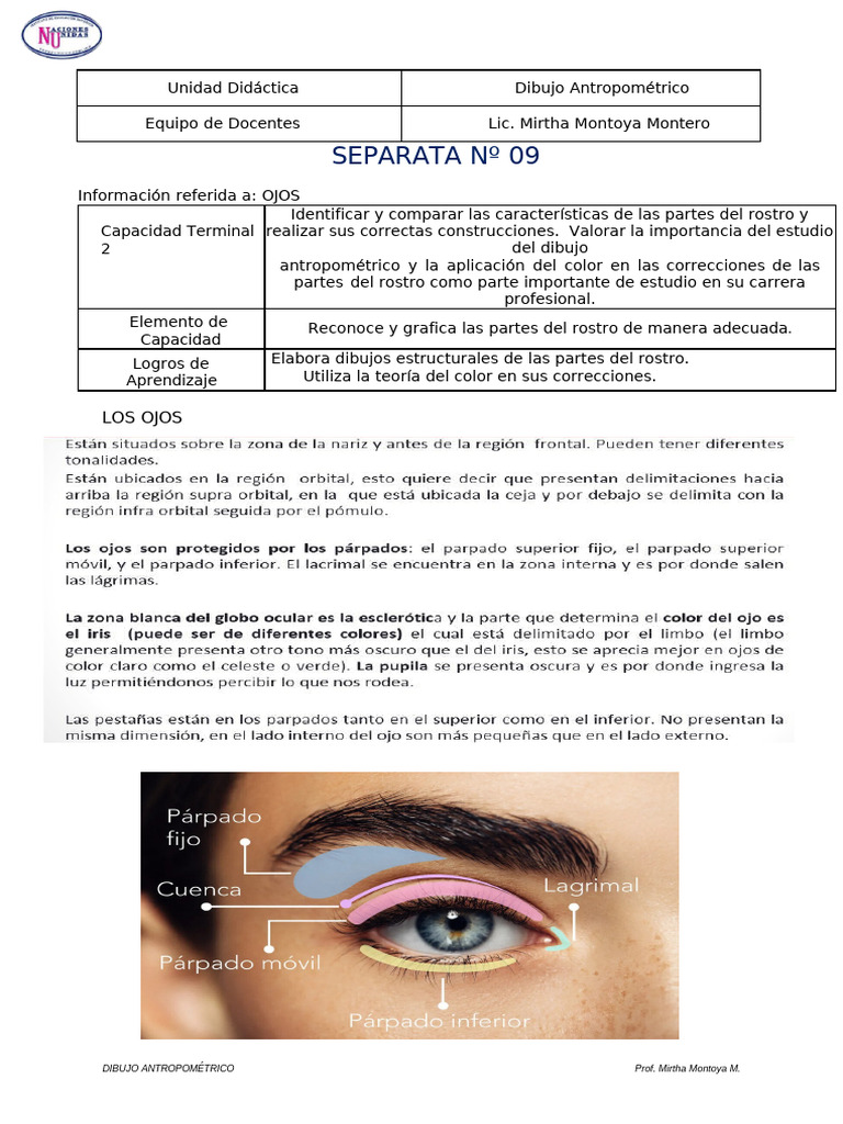 SEPARATA 09 D.A (1) | PDF | Ojo | Dibujo