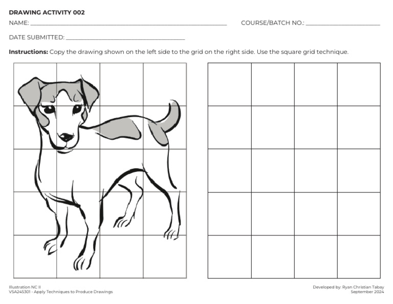 Drawing Activity: Grid Technique | PDF