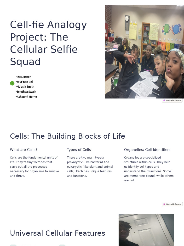 Cell Fie Analogy Project The Cellular Selfie Squad | PDF | Cell ...