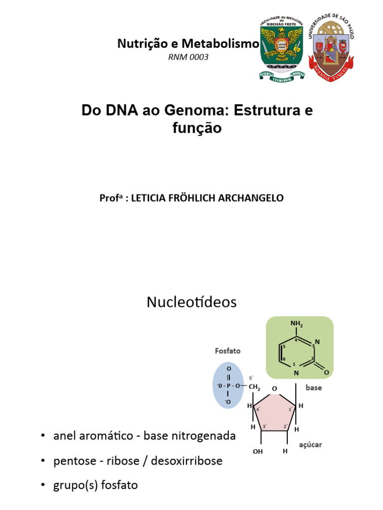 Estrutura e Função do DNA e RNA | PDF | DNA | RNA