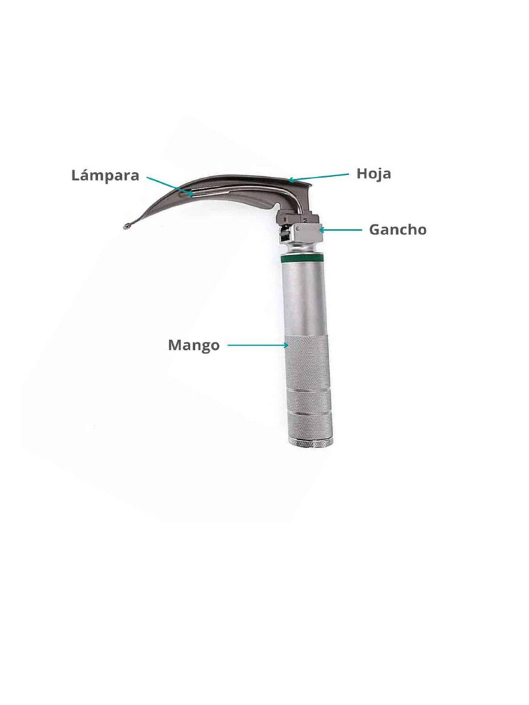 Partes Del Laringoscopio | PDF