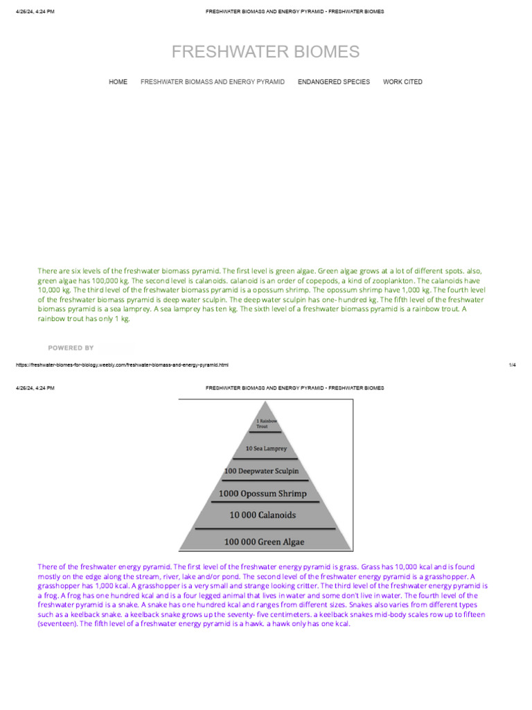 Freshwater Biomass and Energy Pyramid - Freshwater Biomes | PDF ...