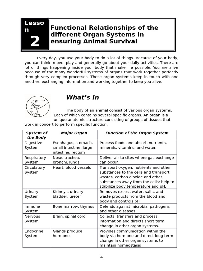 Kami Export - Organ Systems of Representative Animals | PDF | Human ...