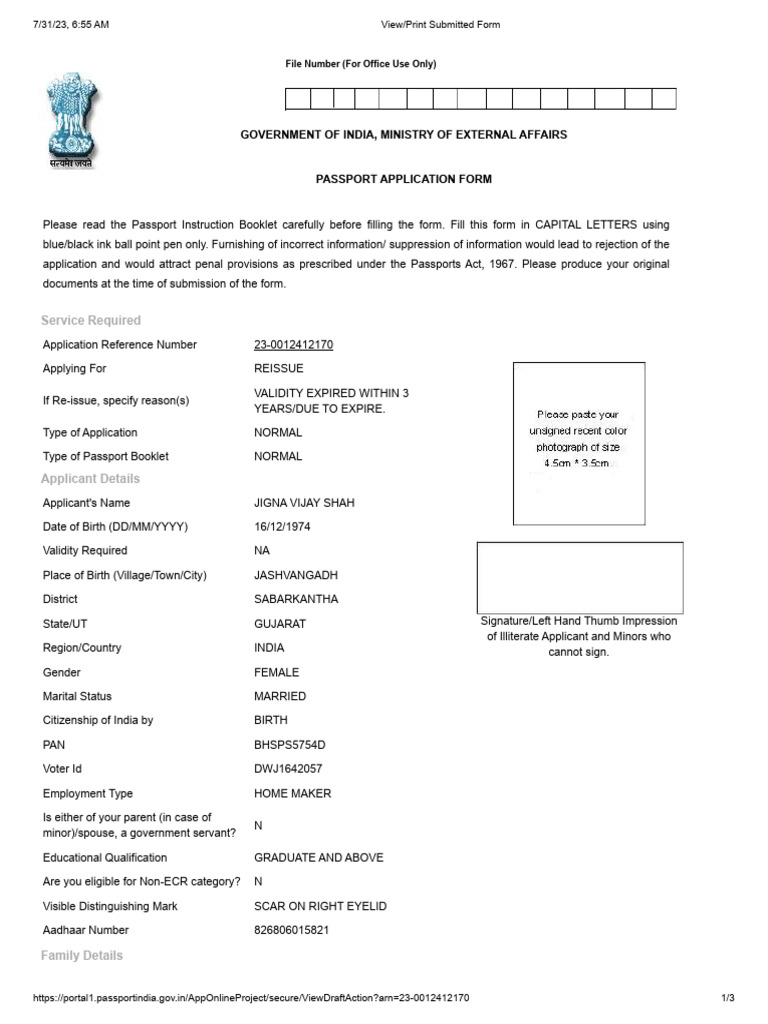 View - Print Submitted Form | PDF | Passport | Government