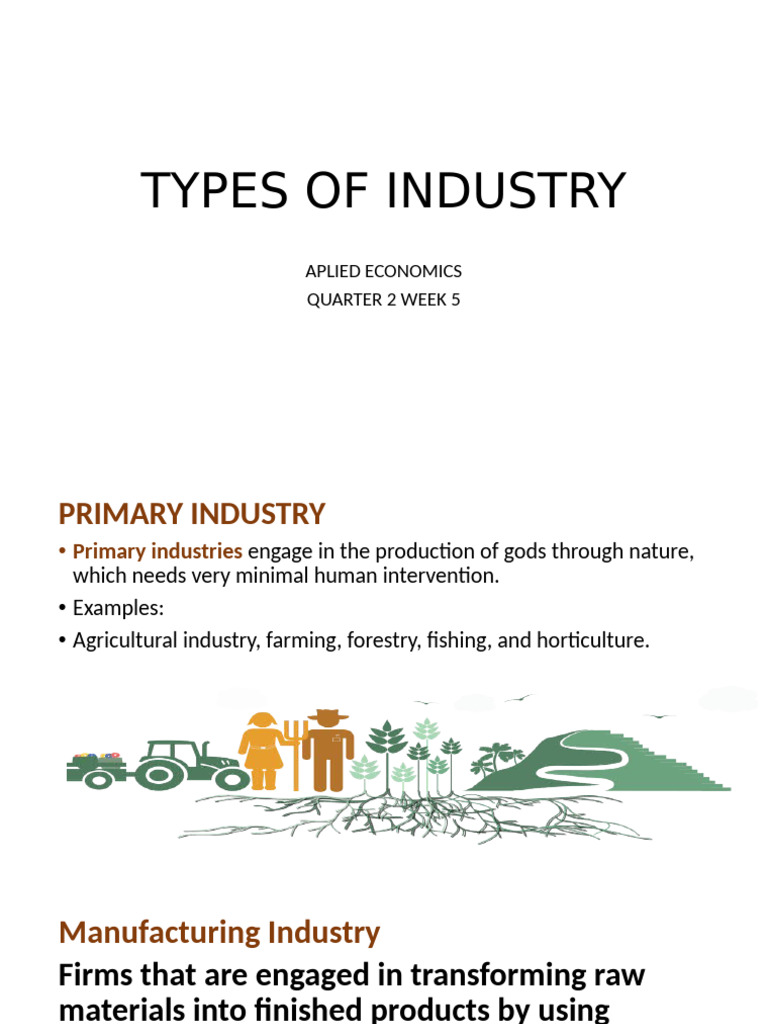 Types of Industry Ae | PDF