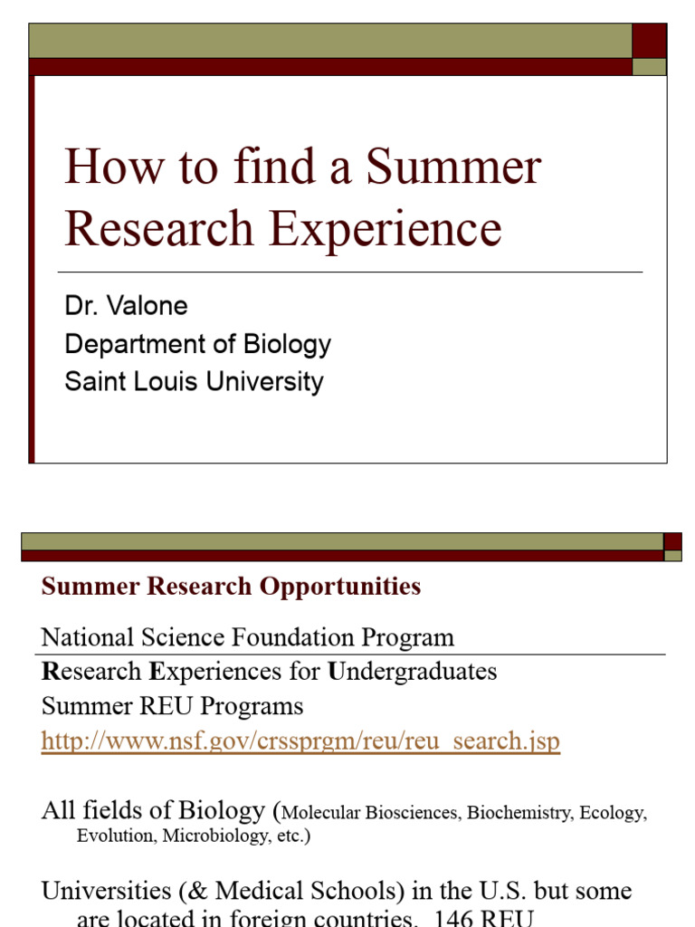 Saint louis summer internship | PDF | Internship | Job Hunting