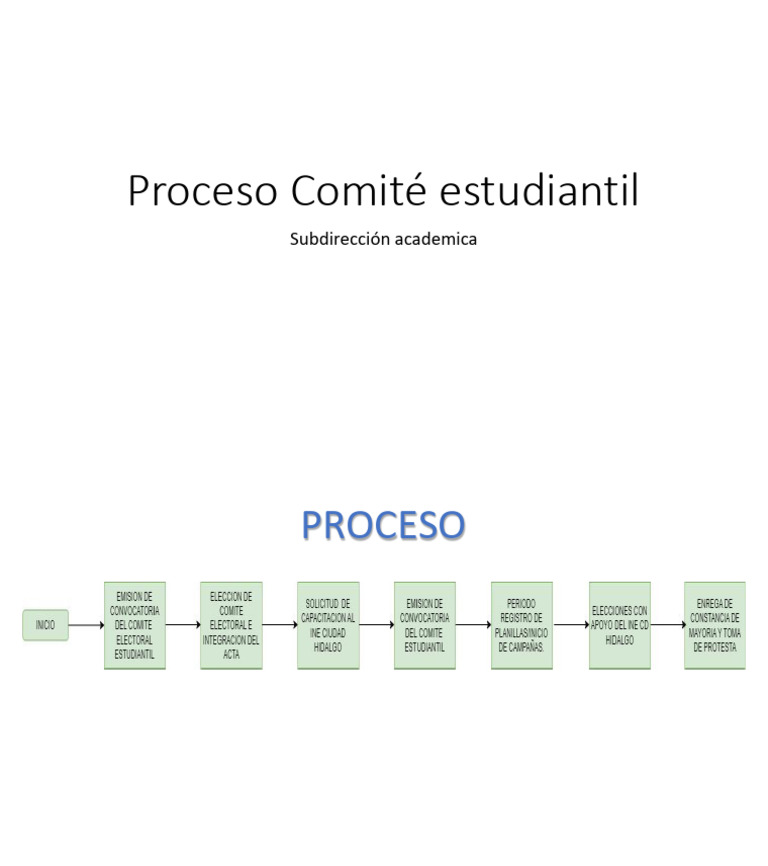Proceso Comité Estudiantil | PDF