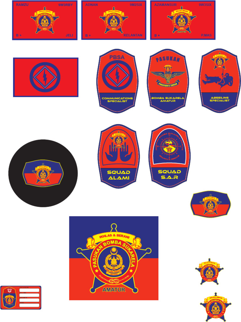 Patches Biodata | PDF