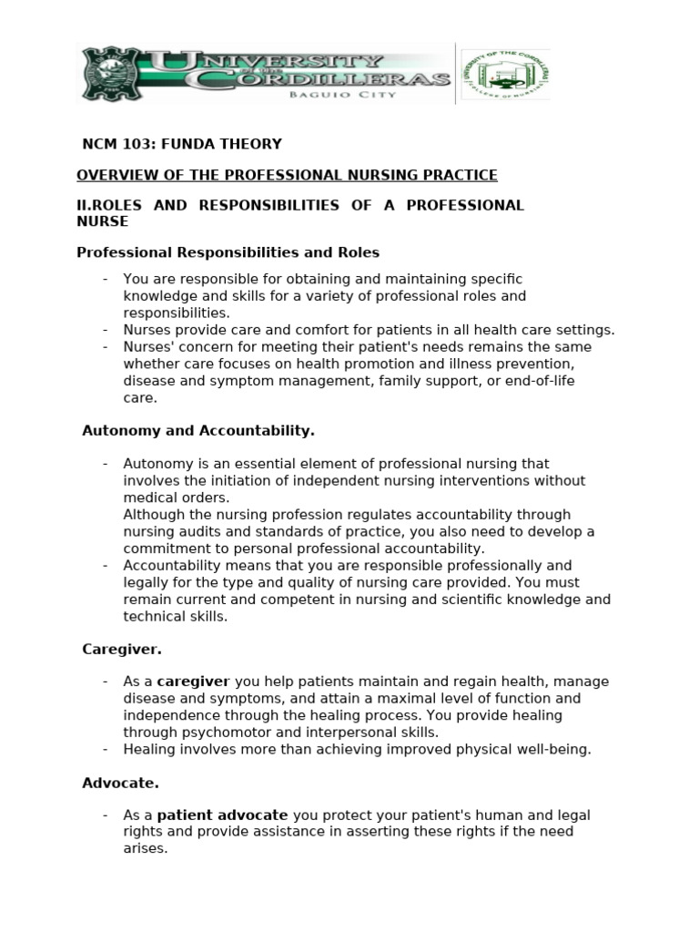 Student Overview of The Professional Nursing Practice 2 | PDF | Nursing | Health Care