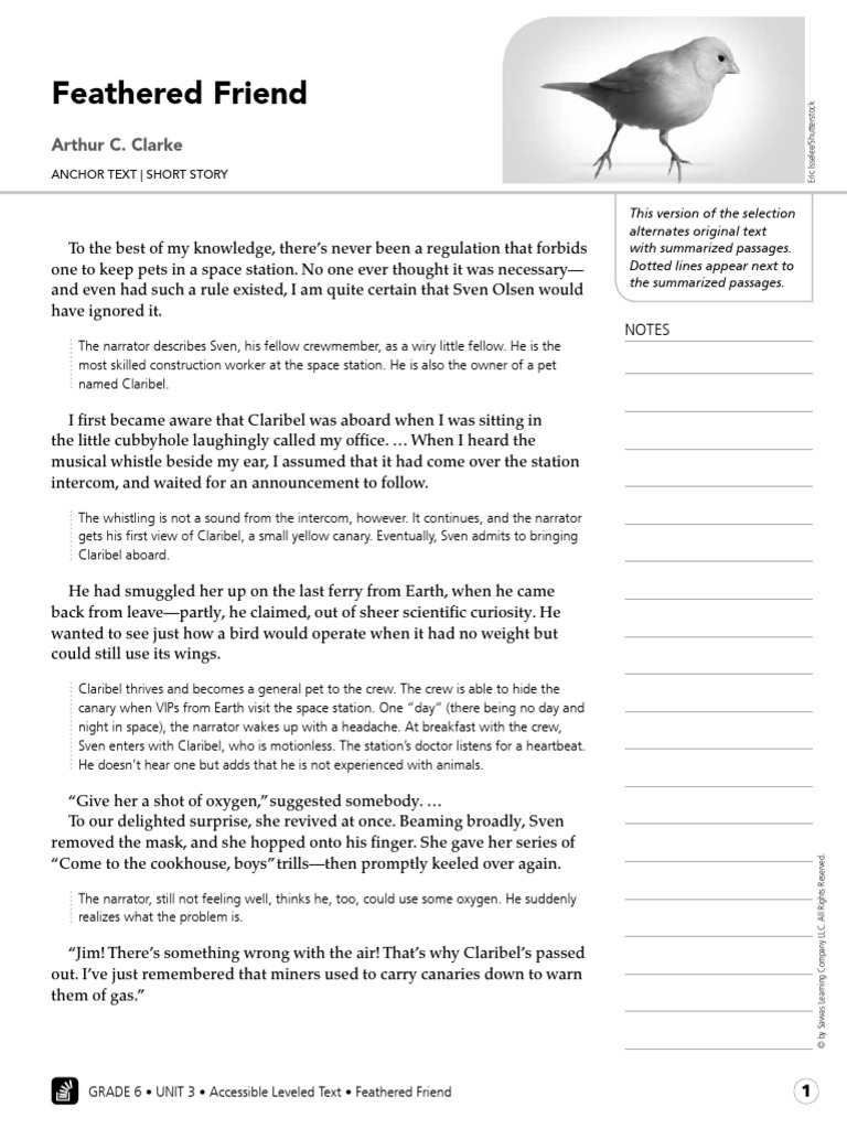 Feathered Friend - Accessible Leveled Text PDF | PDF