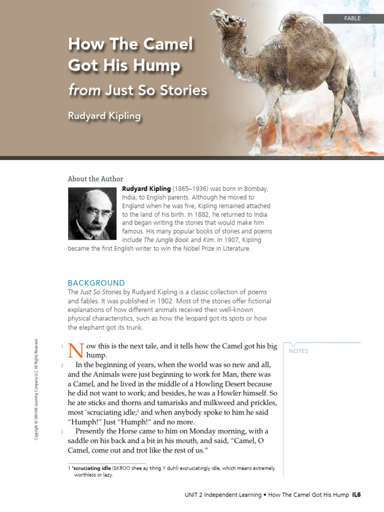 Mypna Se g06 Il Camel Web | PDF