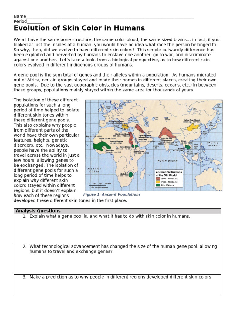 Evolution+of+Skin+Color+in+Humans | PDF | Human Skin Color | Vitamin D
