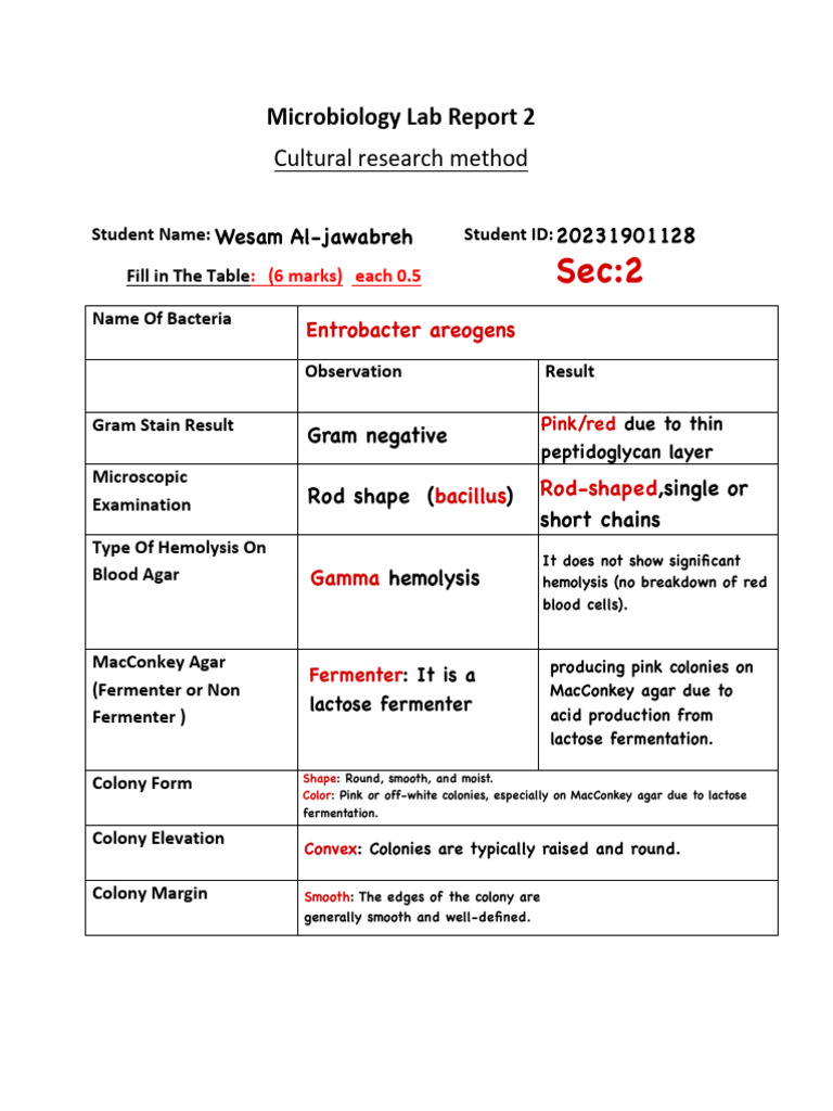 Wesam Aljawabreh (Sec 2) | PDF | Bacteria | Microbiology