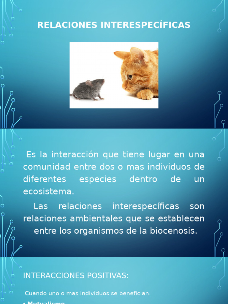 BX 3ro Sec .... Relaciones Interespecificas | PDF